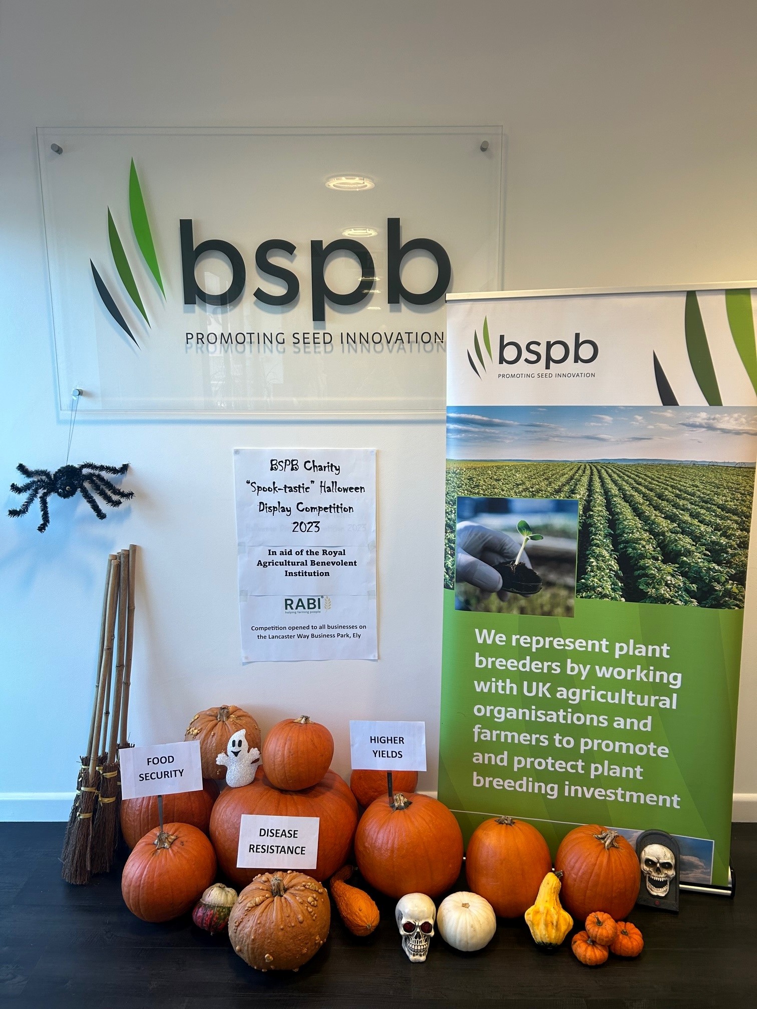 Spook-tastic Halloween Display Competition in aid of RABI - BSPB