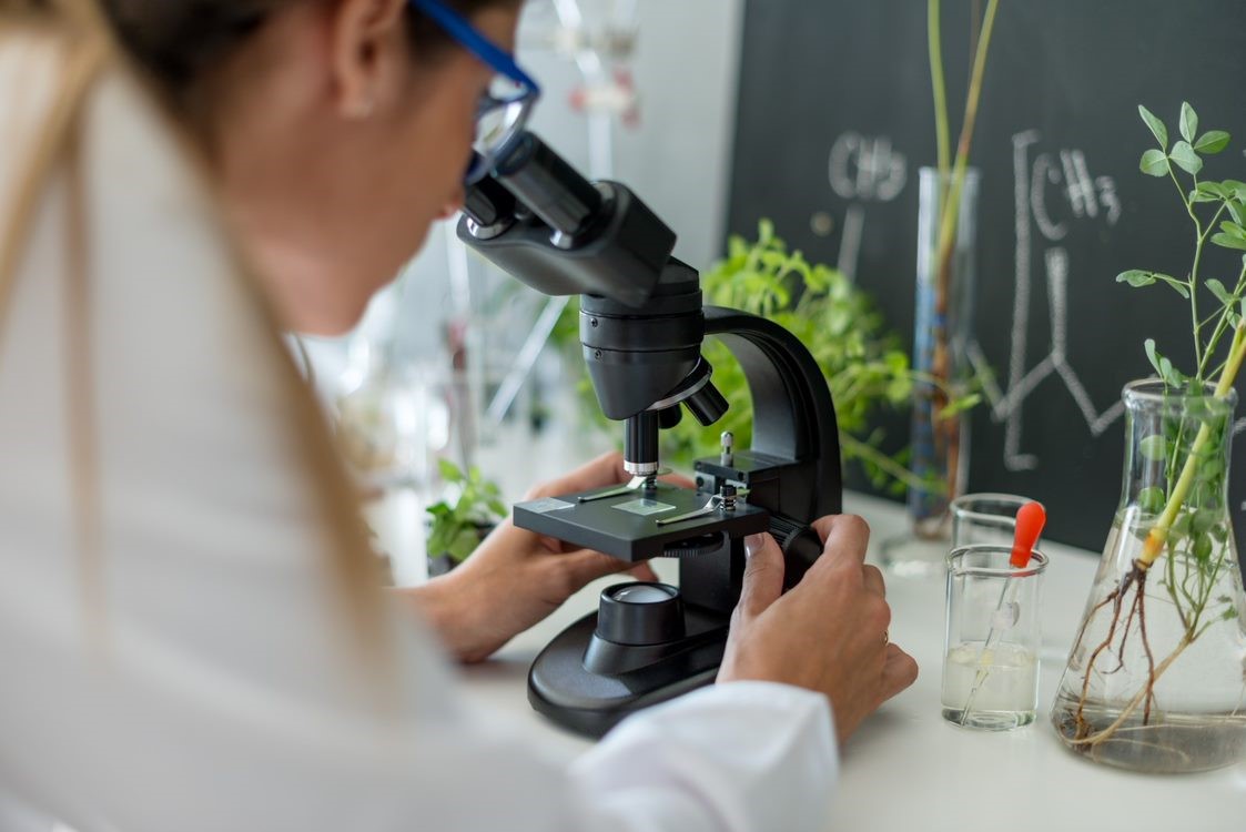 Royal Assent a historic milestone for plant breeding innovation - BSPB